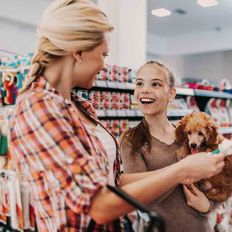 Special Orders – Petland Novi, Michigan Pet Store